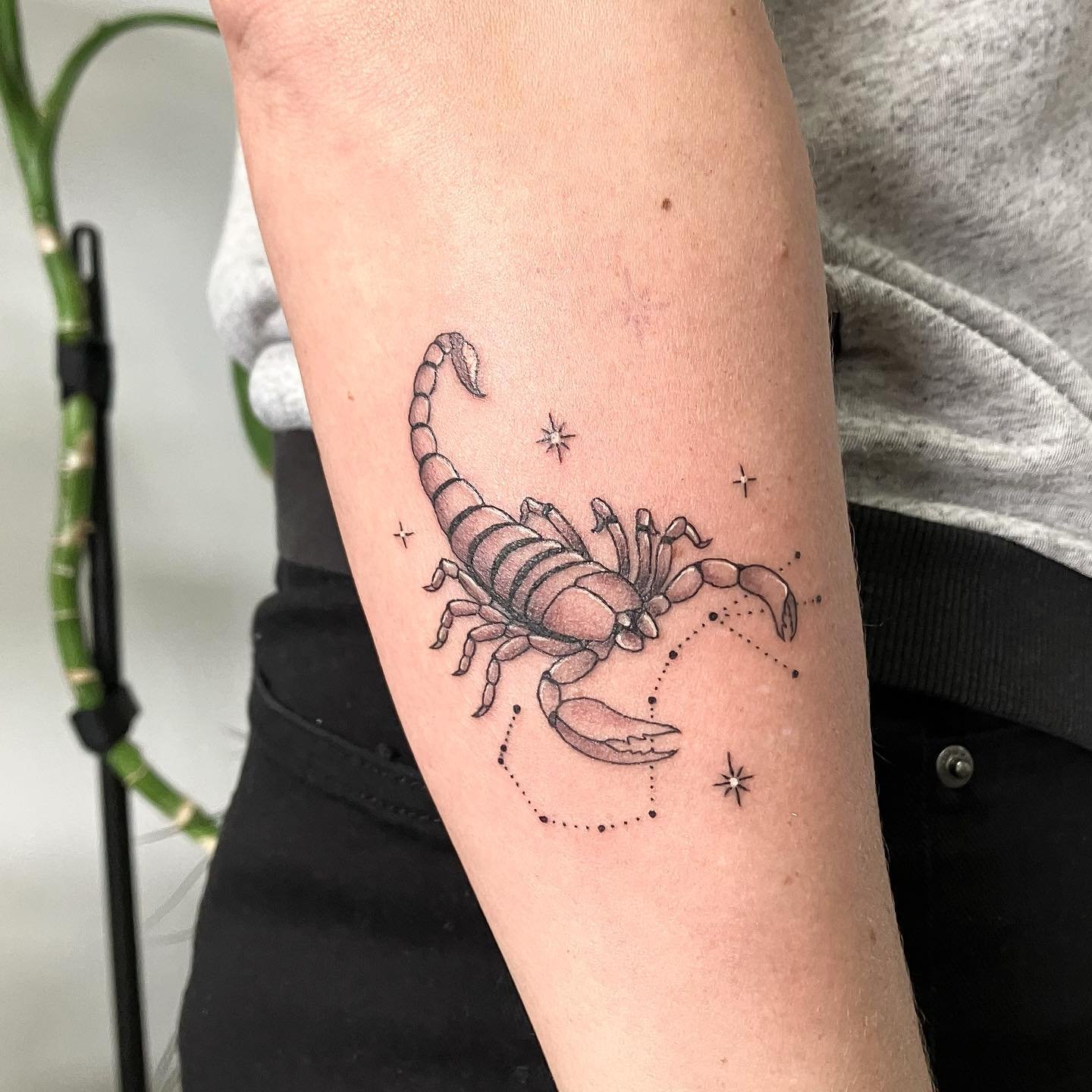Tattoo mit dem Sternzeichen Skorpion: Astrologische Symbole in der ...