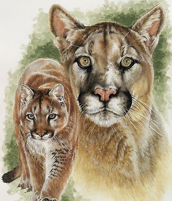 27+ Schöne Puma Tattoos für Männer und Frauen: Bedeutung & Vorlagen ...