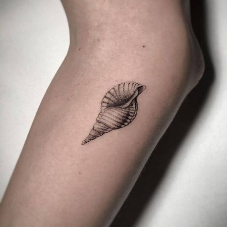 27+ Schöne Muschel Tattoos für Männer und Frauen: Bedeutung & Vorlagen ...