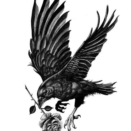 27+ Rabe Tattoos für Männer und Frauen: Bedeutung & Vorlagen-Ideen ...
