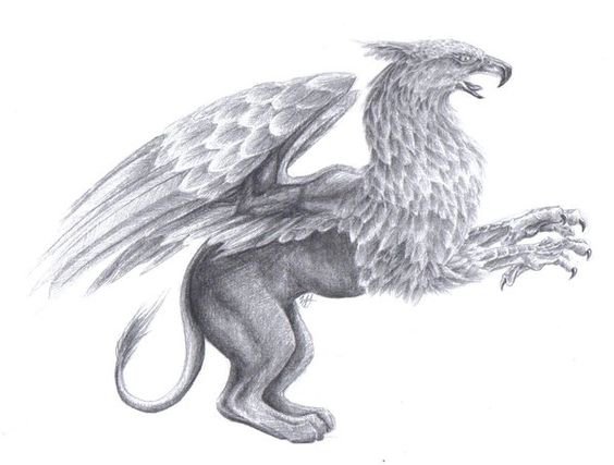 27+ Schöne Greif Tattoos für Männer und Frauen: Bedeutung & Vorlagen ...