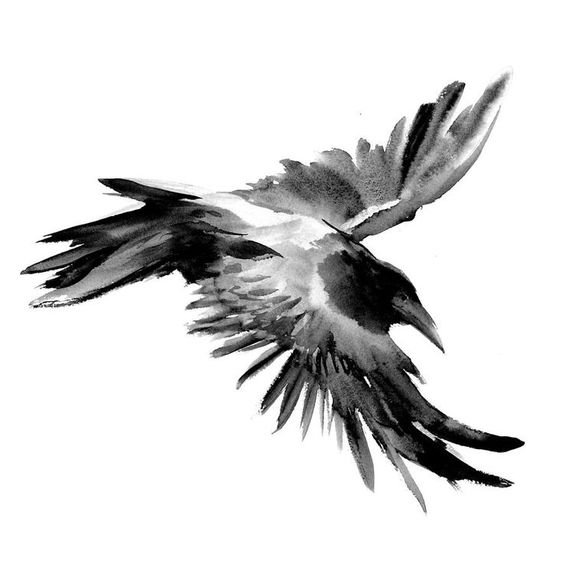 27+ Rabe Tattoos für Männer und Frauen: Bedeutung & Vorlagen-Ideen ...