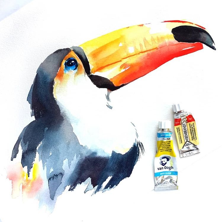 25+ Beste Tukan Tattoo-Designs für Männer und Frauen: Bedeutung ...