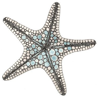 25+ Seestern Tattoo-Ideen: Bedeutung & Vorlagen & Für Männer und Frauen ...