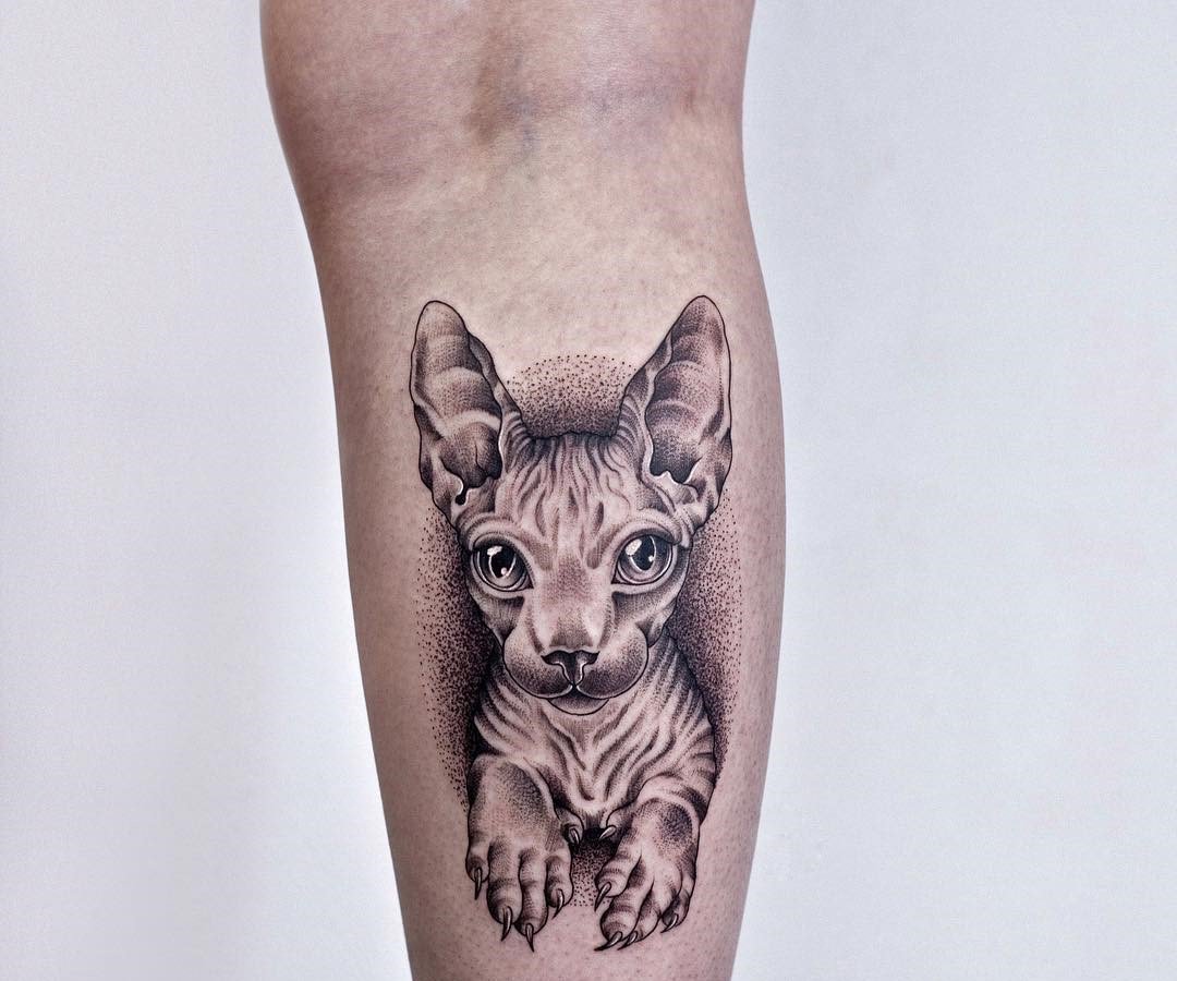 25+ Beste Sphinx Tattoo-Designs für Männer und Frauen: Bedeutung ...