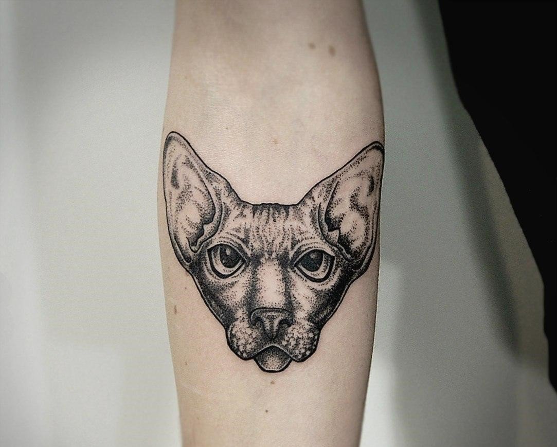 25+ Beste Sphinx Tattoo-Designs für Männer und Frauen: Bedeutung ...