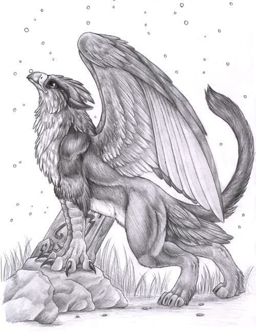 27+ Schöne Greif Tattoos für Männer und Frauen: Bedeutung & Vorlagen ...