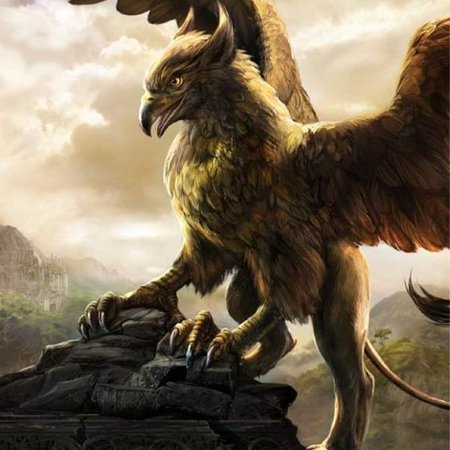 27+ Schöne Greif Tattoos für Männer und Frauen: Bedeutung & Vorlagen ...