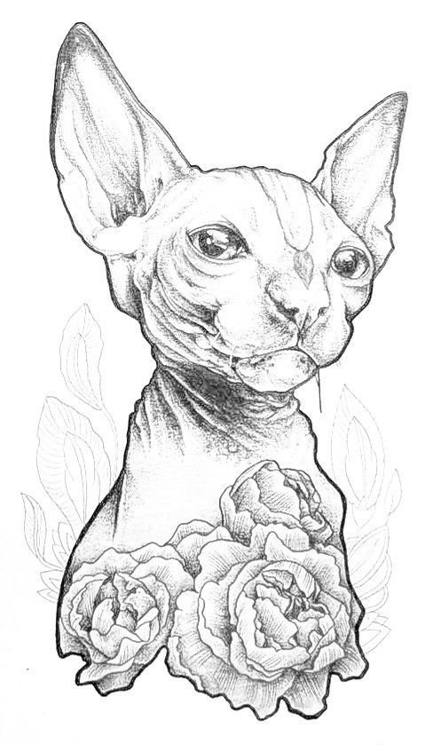 25+ Beste Sphinx Tattoo-Designs für Männer und Frauen: Bedeutung ...