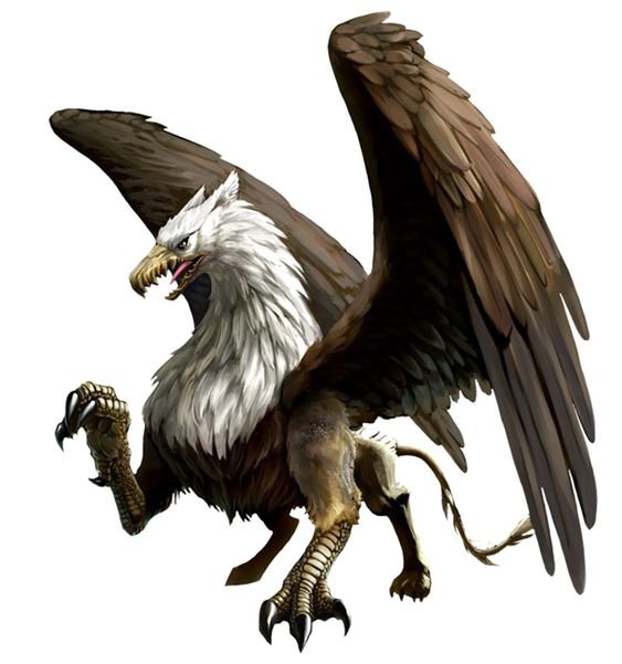 27+ Schöne Greif Tattoos für Männer und Frauen: Bedeutung & Vorlagen ...