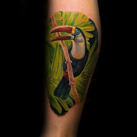 25+ Beste Tukan Tattoo-Designs für Männer und Frauen: Bedeutung & Vorlagen-Ideen - VeAn Germany