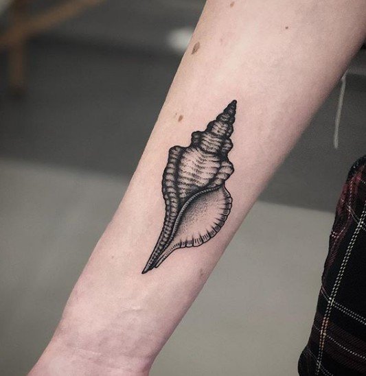 27+ Schöne Muschel Tattoos für Männer und Frauen: Bedeutung & Vorlagen ...